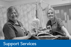 Job vacancy search: Which health sector? | trac.jobs